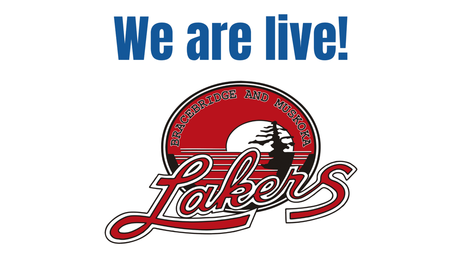 Bracebridge and Muskoka Lakes Secondary School launches a new website ...