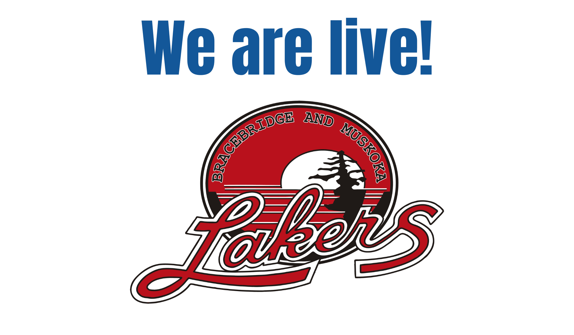 Bracebridge and Muskoka Lakes Secondary School launches a new website ...
